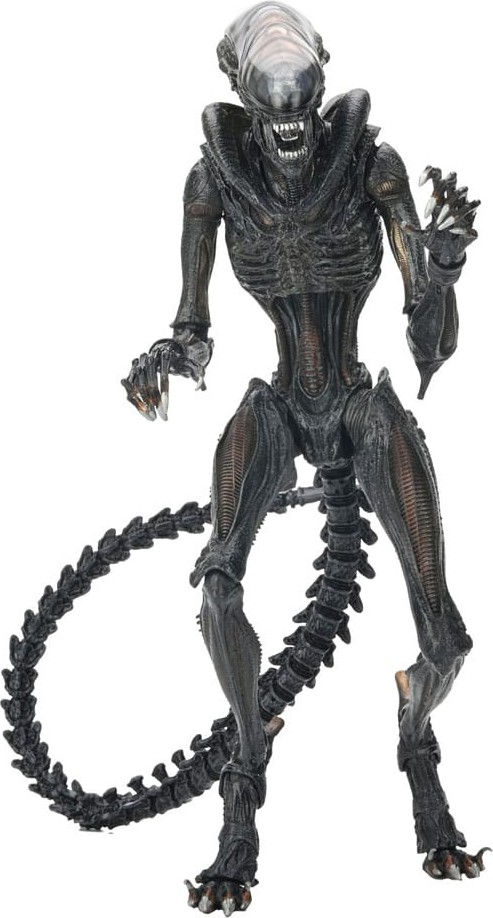 ALIEN ROMULUS Ultimate figurine Scorched Alien Xenomorph 18cm