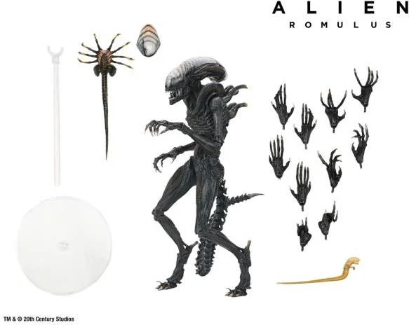 ALIEN ROMULUS Ultimate figurine Scorched Alien Xenomorph 18cm
